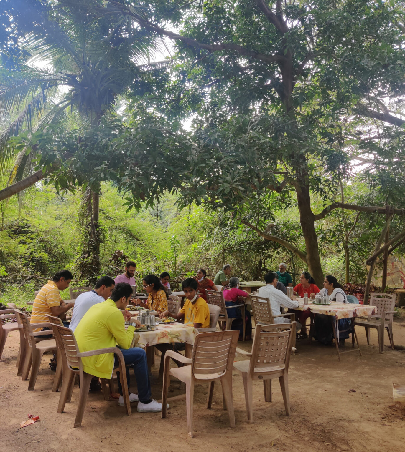 Solitude Farm Auroville | Natural farming and permaculture