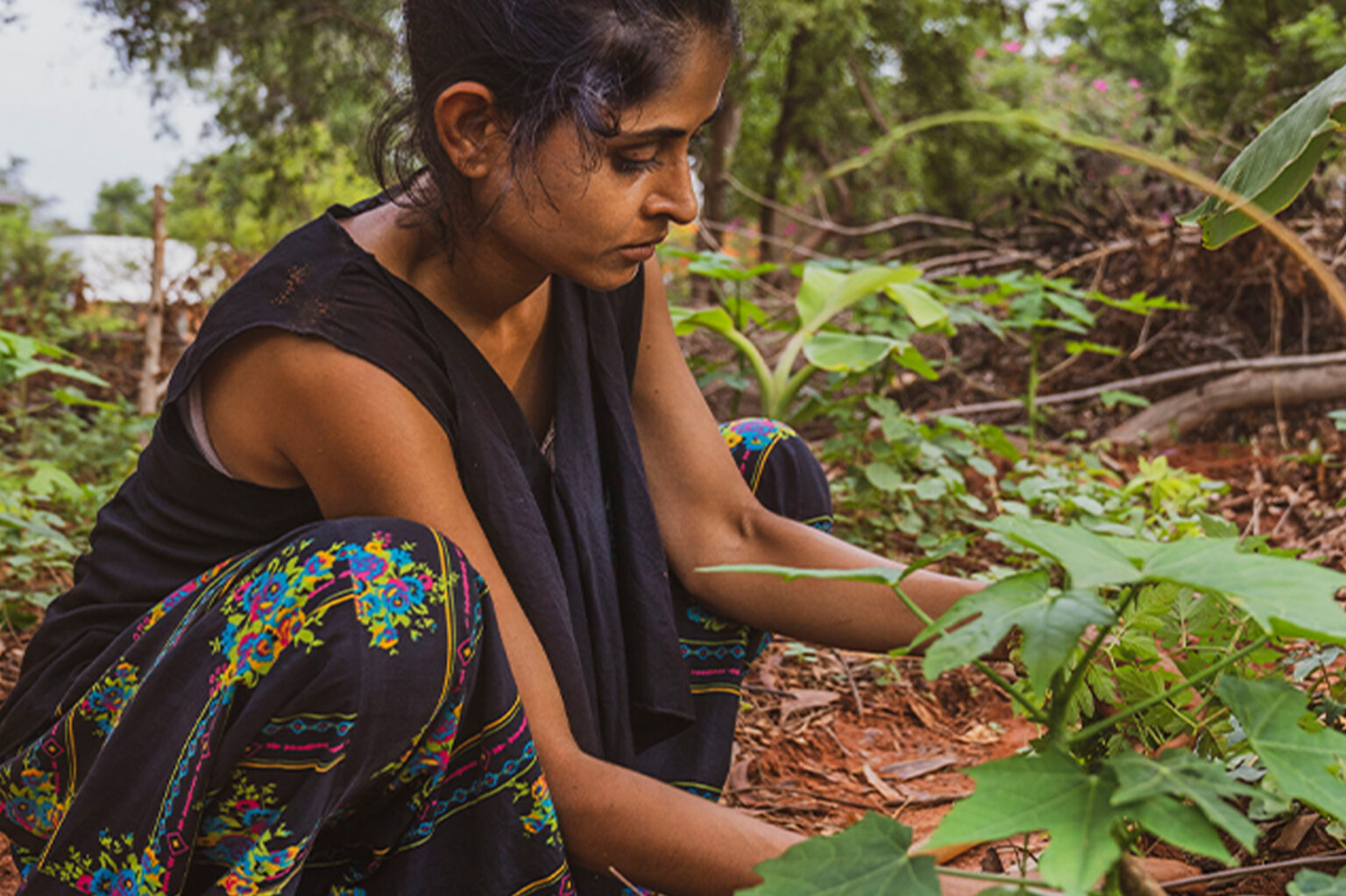 Solitude Farm community projects ,Auroville